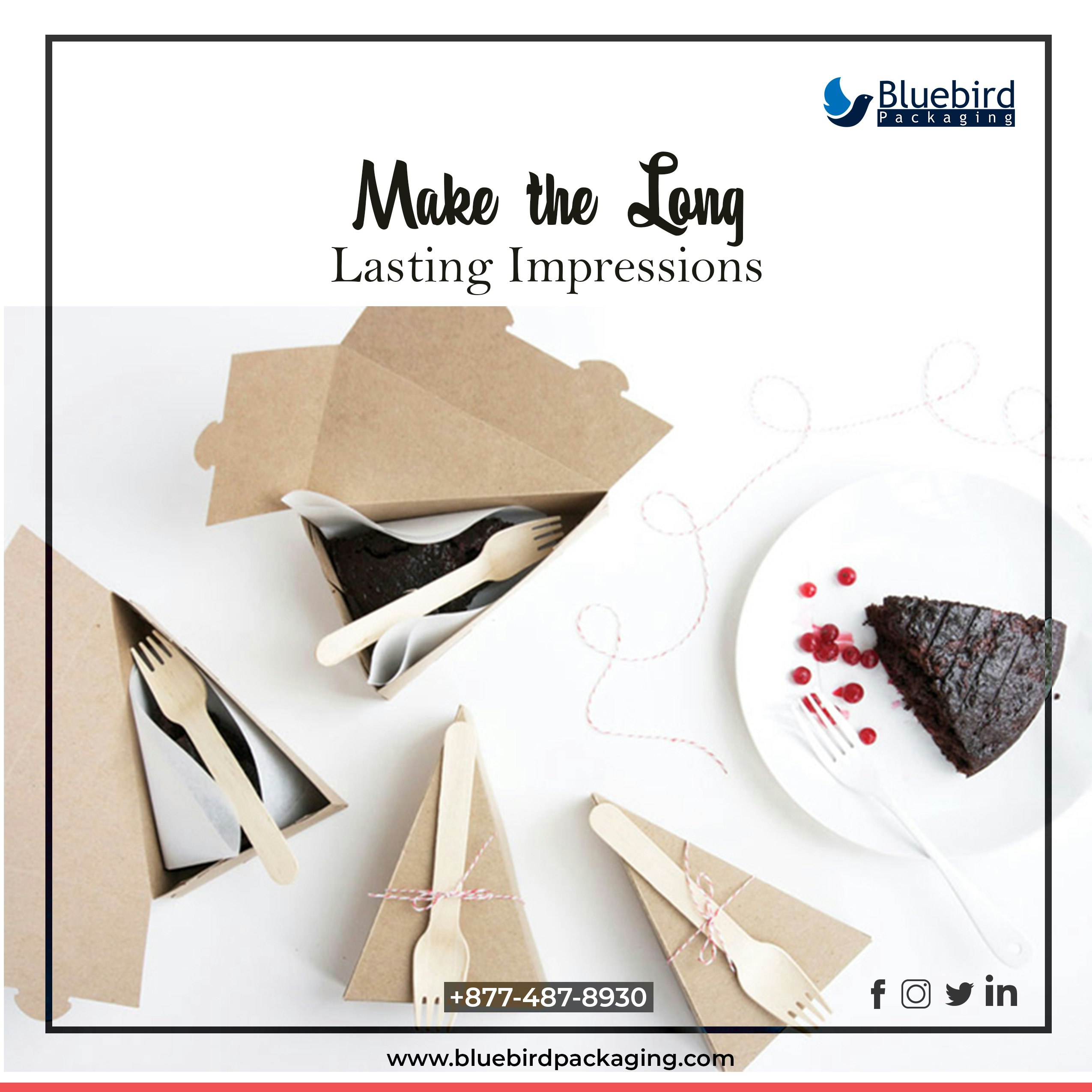 Bluebird Packaging Product Information and Latest Updates (2025 ...