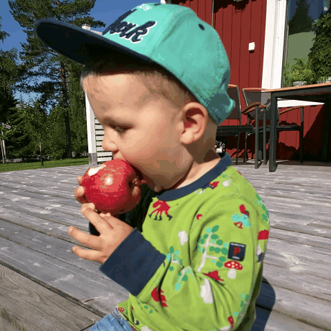 Pang Camera: Create funny animated GIFs | Product Hunt