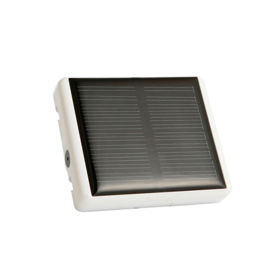 Paw Tracker: GPS tracker for your dog or cat | Product Hunt