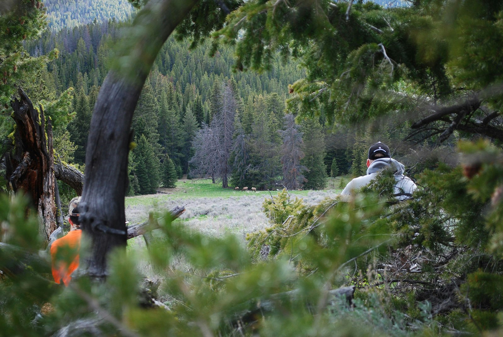 Outpost: Making it easy for anybody to go hunting. | Product Hunt