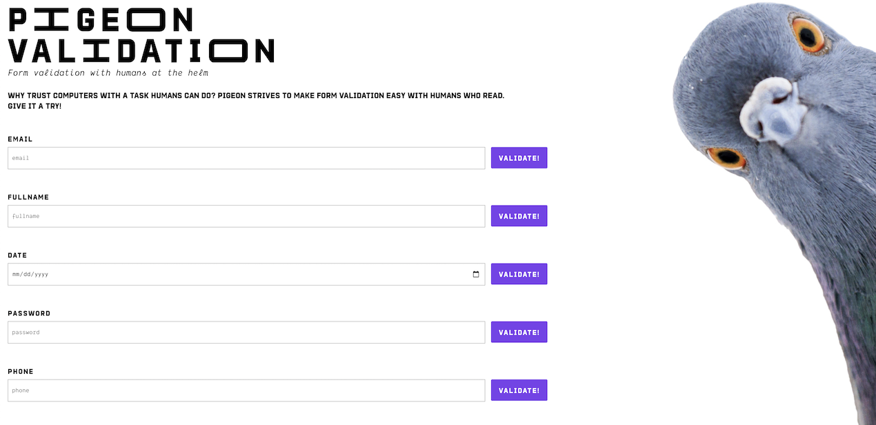 Pigeon - web form validation done right: Trust your form validation to ...
