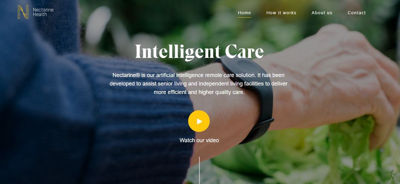 Nectarine - Product Information, Latest Updates, and Reviews 2024 ...