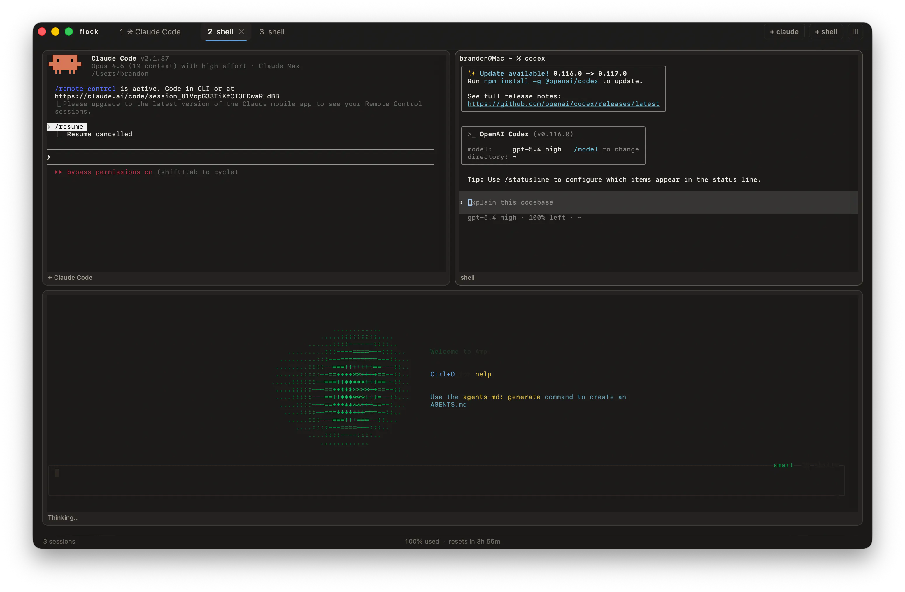 flock: Run a flock of Claude Code (or other agents) in one window ...