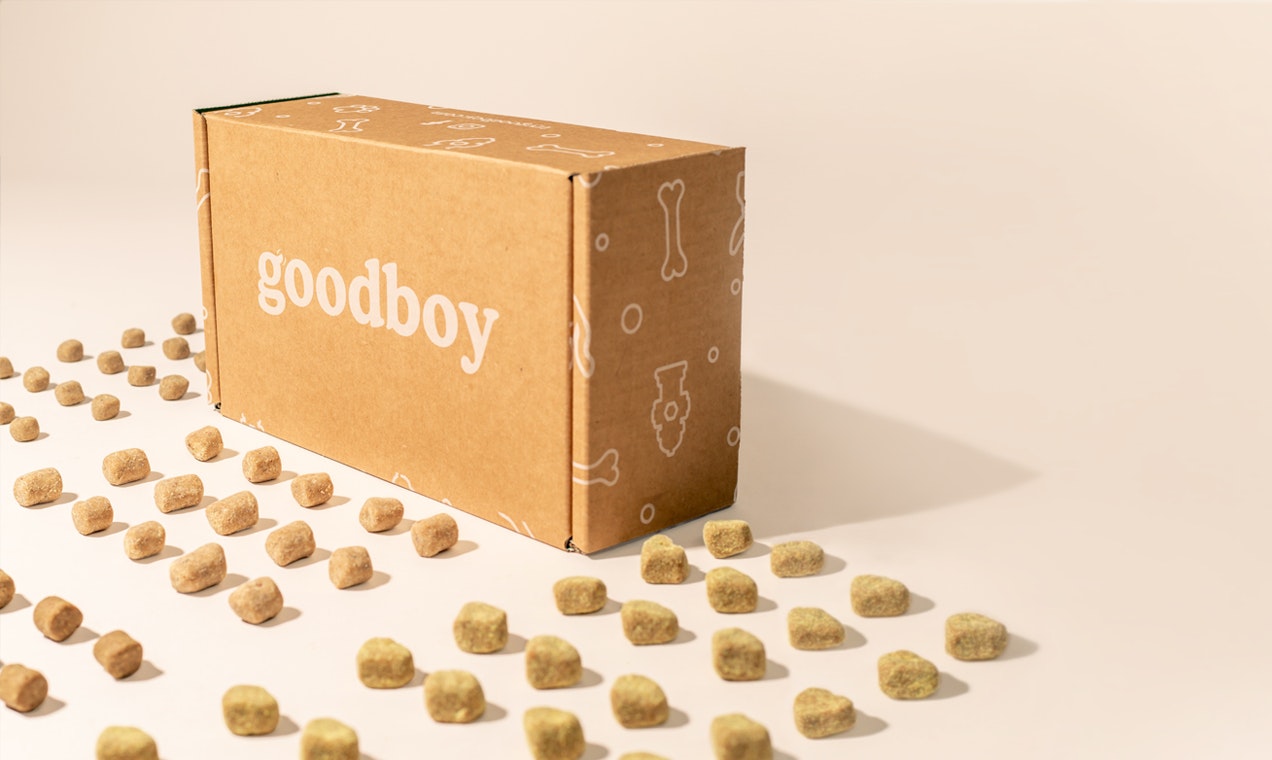 Goodboy Product Information and Latest Updates (2025) | Product Hunt