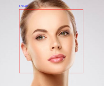 Face Recognition Javascript Sdk Ai Read Review Details Pricing