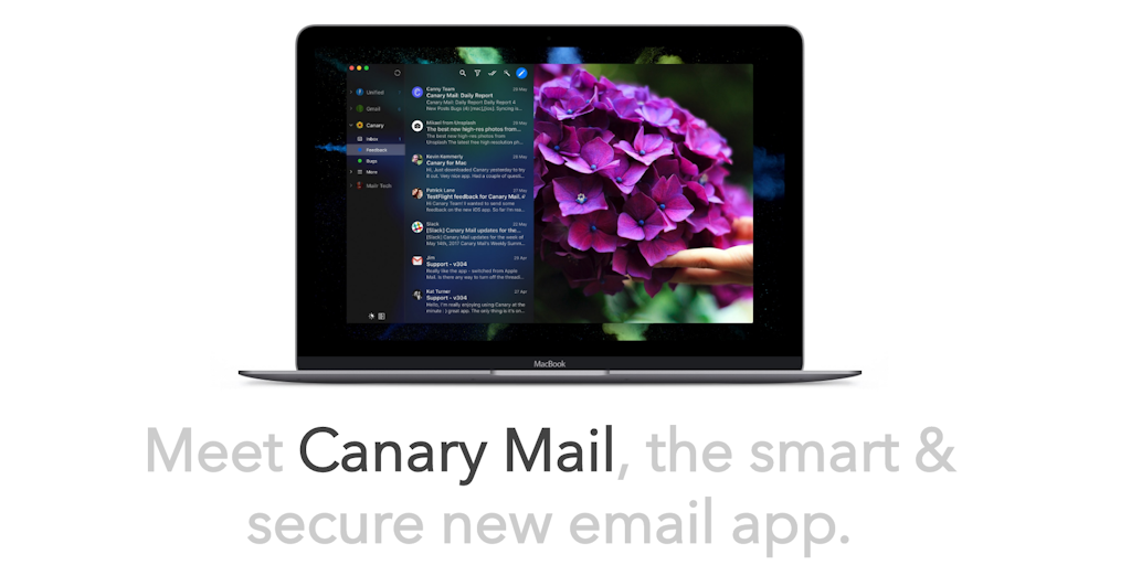 Blog Posts - multifilestown