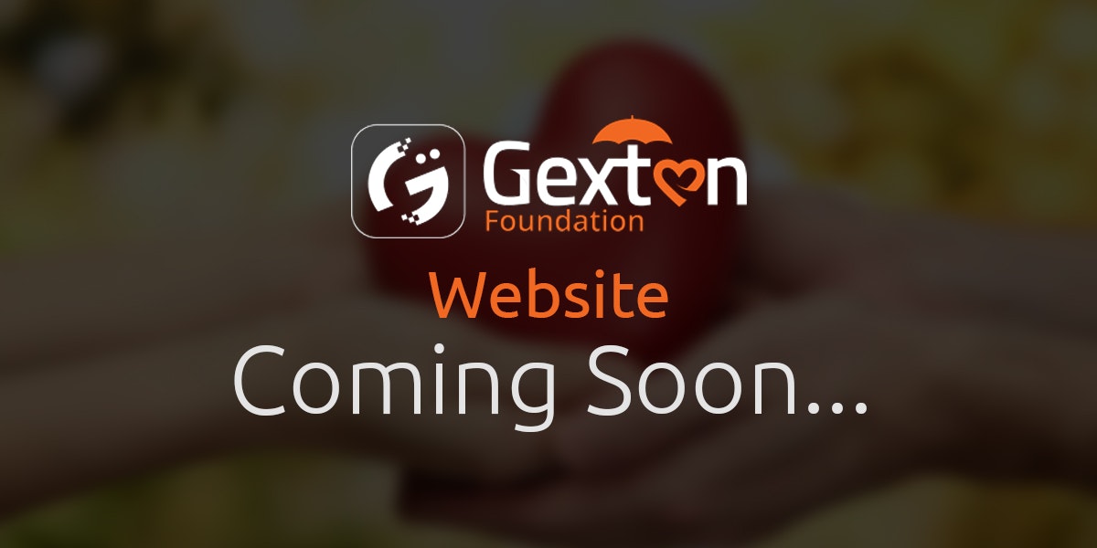 Gexton Foundation Product Information and Latest Updates (2025 ...