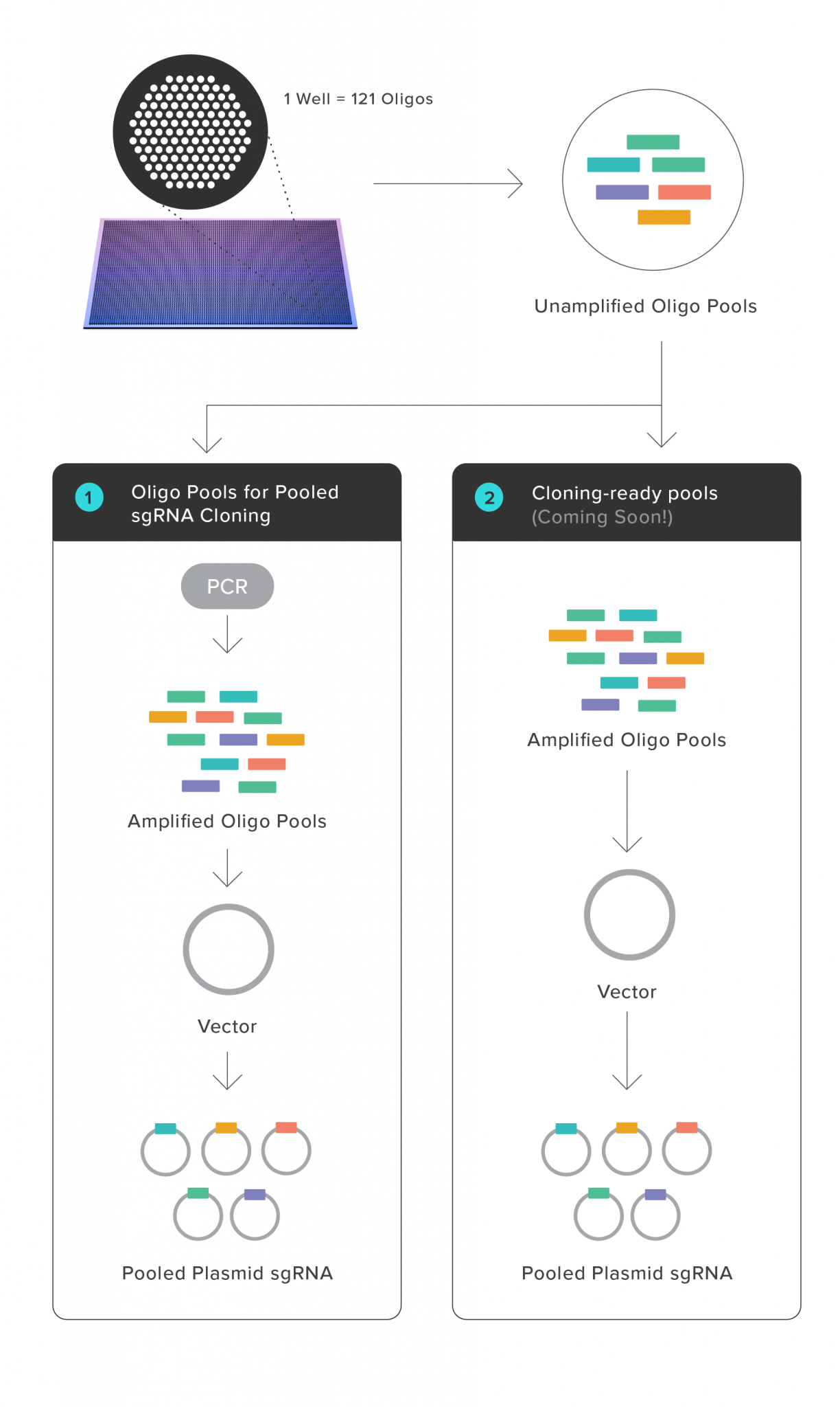 Twist Bioscience Product Information and Latest Updates (2025 ...