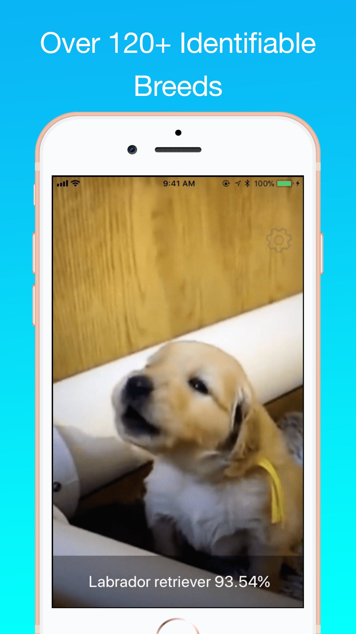 Dog Identifier - Product Information, Latest Updates, and Reviews 2024 ...