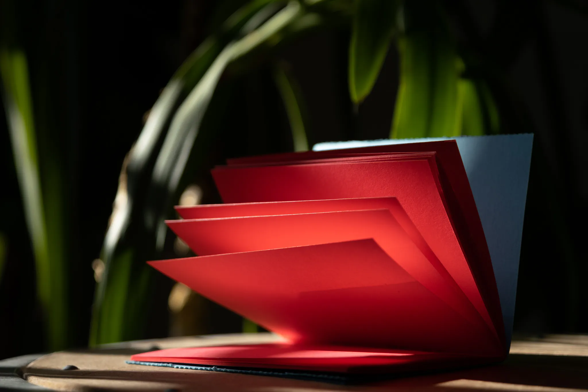 Weird Looks Notebooks - Colorful notebooks inside and out | Product Hunt