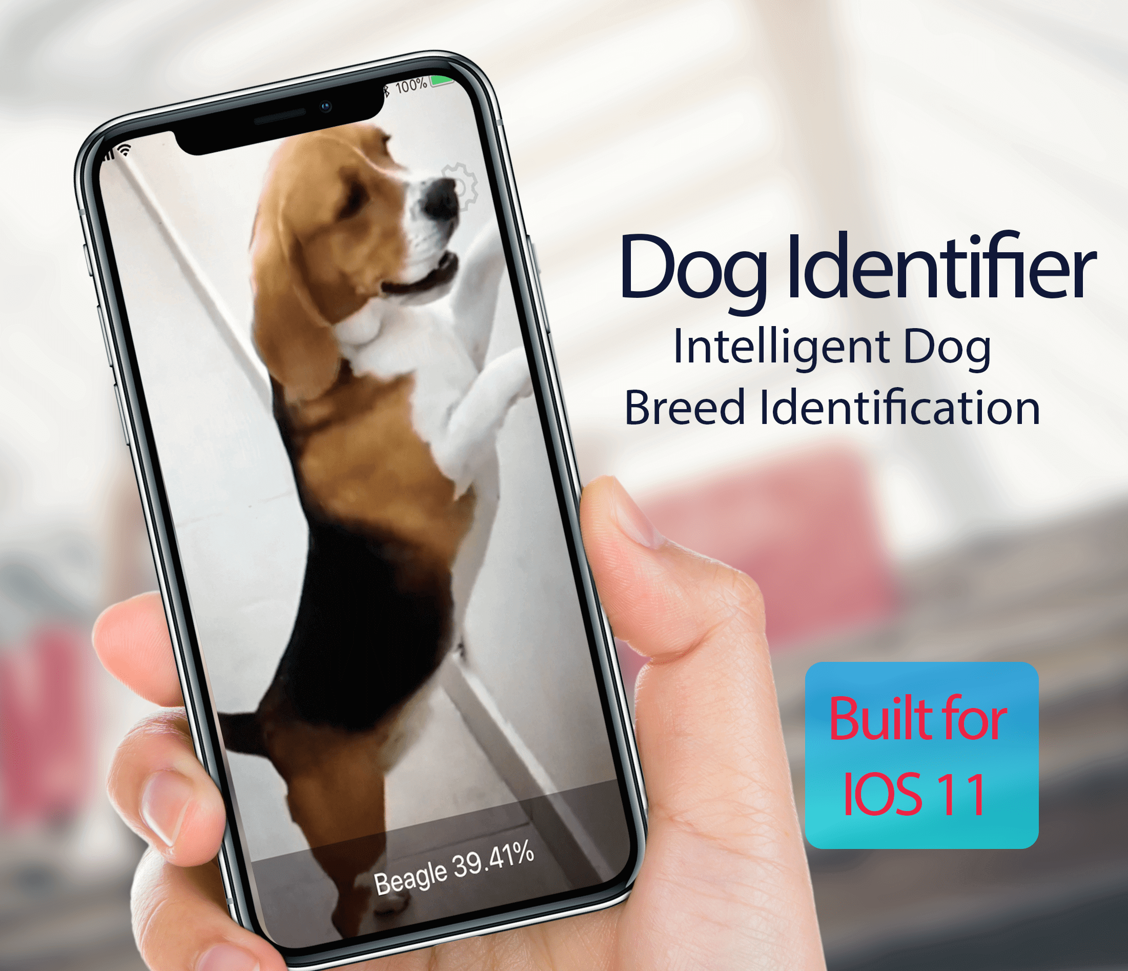 Dog Identifier: Intelligent dog breed identifier 🐶 | Product Hunt
