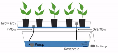 Automated Hydroponics using Arduino Mega Makers | Product Hunt