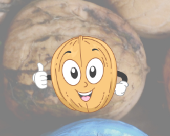 Walnut AI: Learn Something Usefull Everyday | Product Hunt