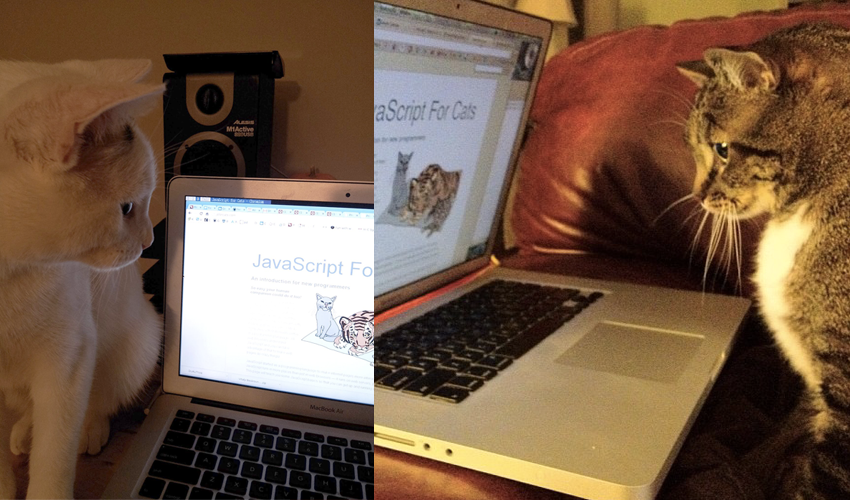 JavaScript For Cats - Product Information, Latest Updates, and Reviews ...