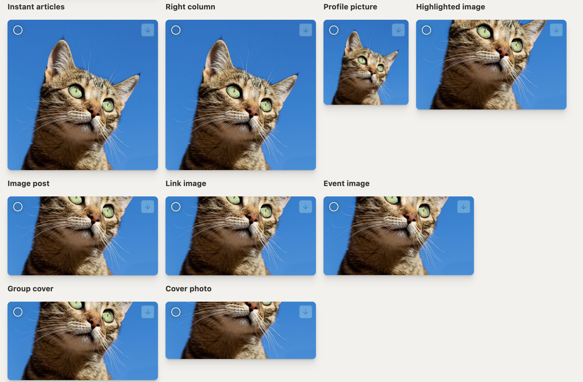Pixel­hunter - Product Information, Latest Updates, and Reviews 2024 ...
