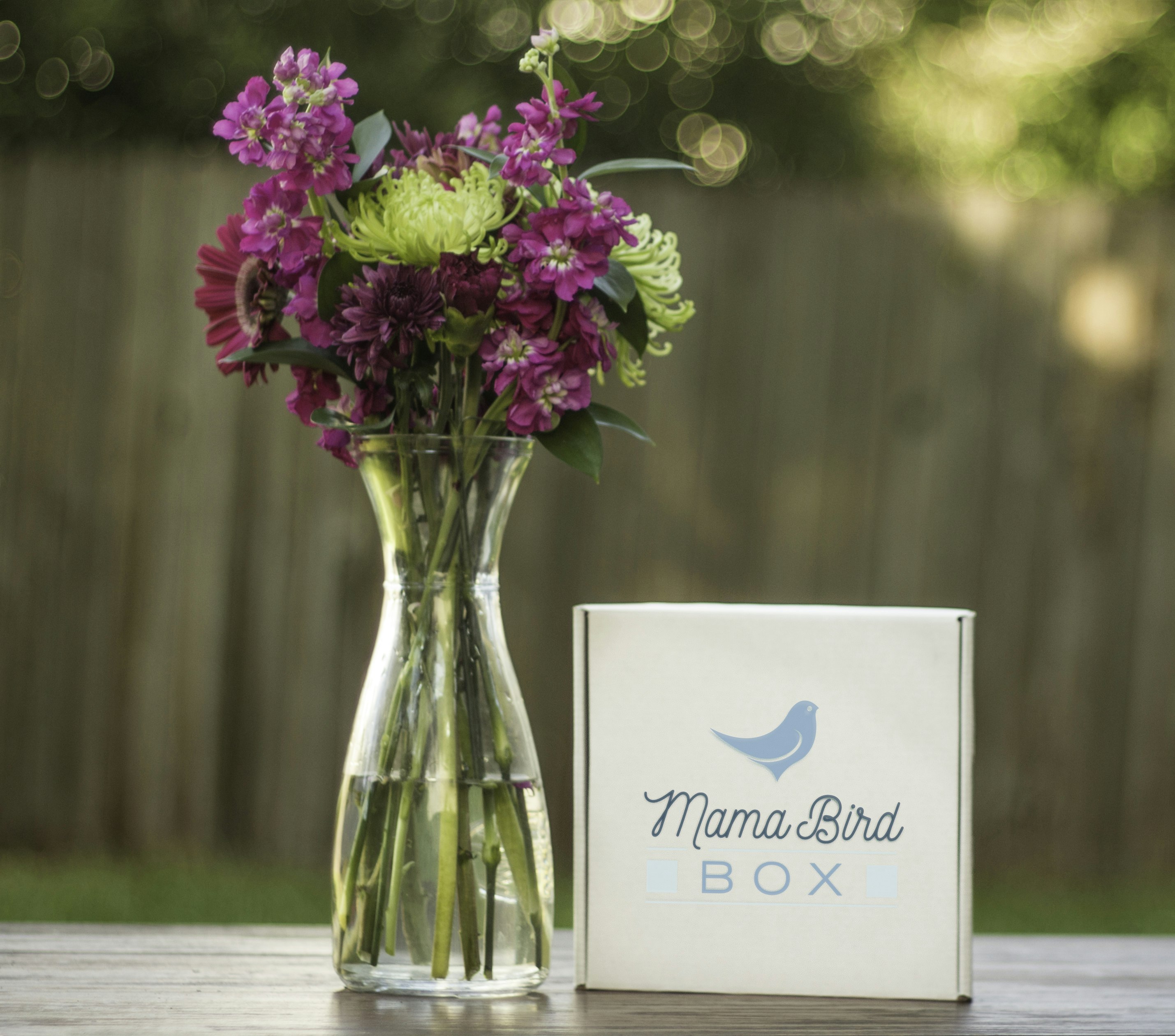 Mama Bird Box - Product Information, Latest Updates, and Reviews 2025 ...