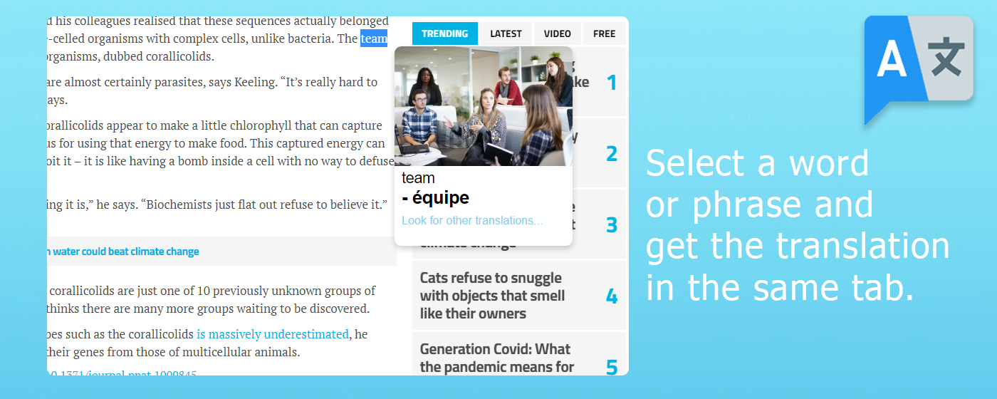 iTranslator - Select to Translate - Product Information, Latest Updates ...