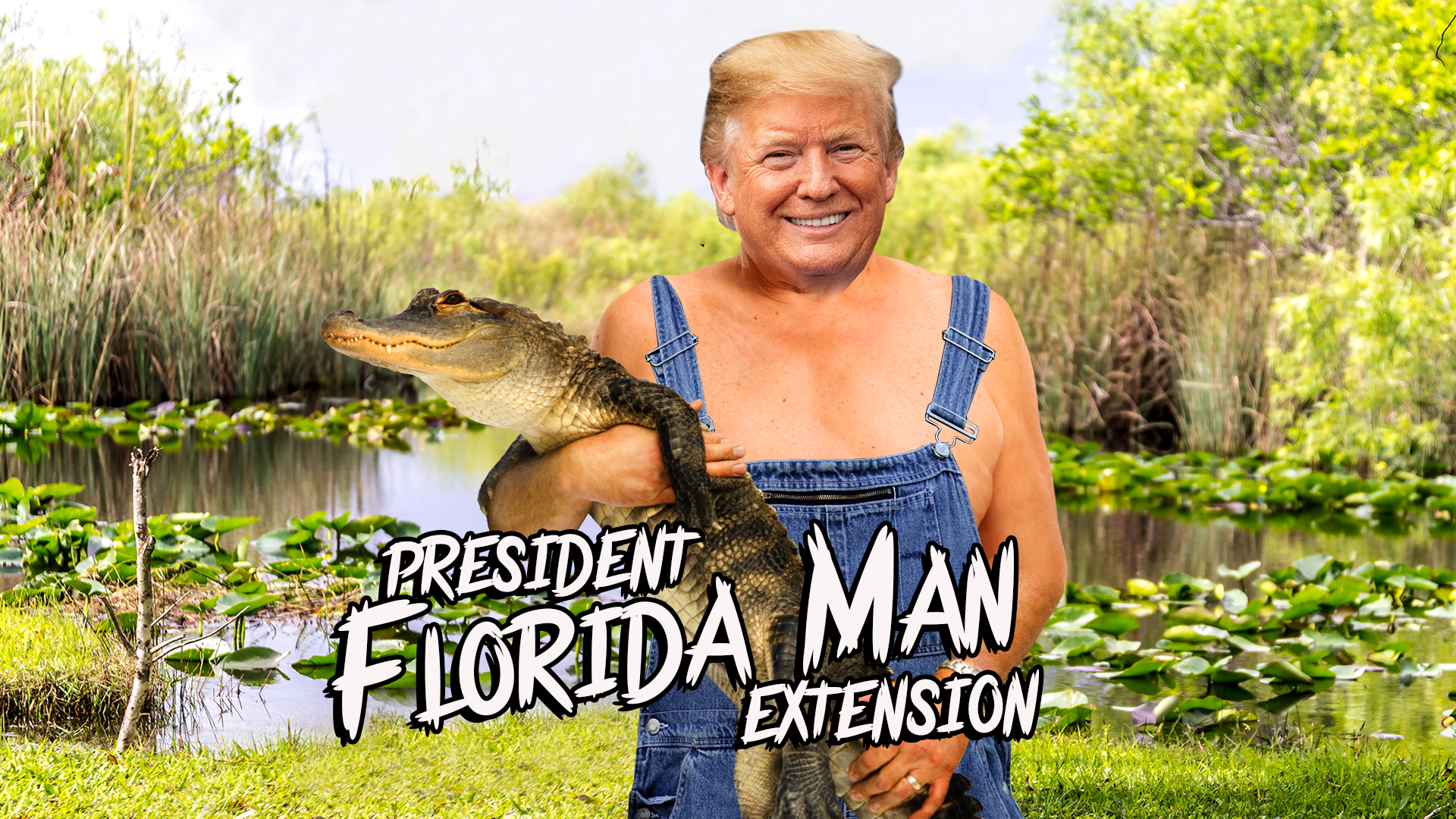 President Florida Man - Product Information, Latest Updates, and ...