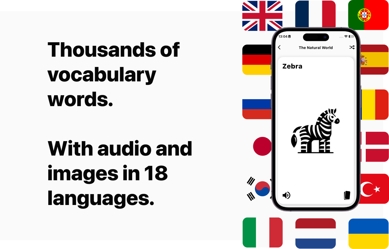 Language Vocabulary Flashcards: 19 Languages, Works Offline with Audio ...