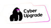 Cyber Upgrade: Gain control over organizations cybersecurity. | Product ...