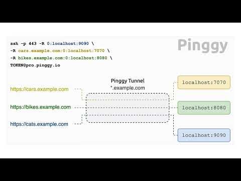Pinggy: Public URLs for localhost without downloading any binary | Product Hunt